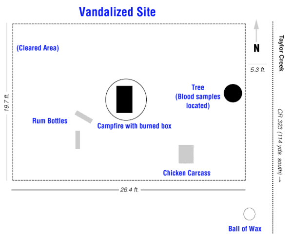Vandalism report