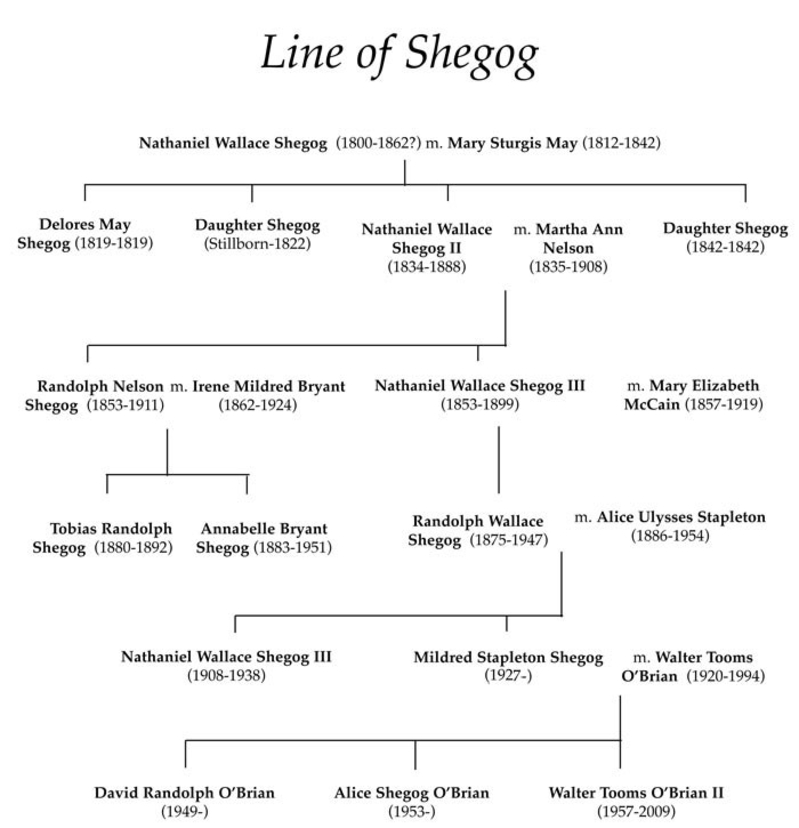 Shegog family tree