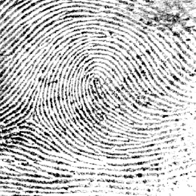 Fingerprint analysis summary