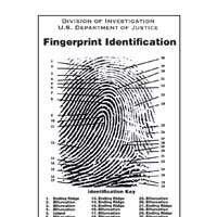 Fingerprint Poster
